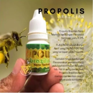 Jual moment propolis Harga Terbaik & Termurah Juni 2024 | Shopee Indonesia