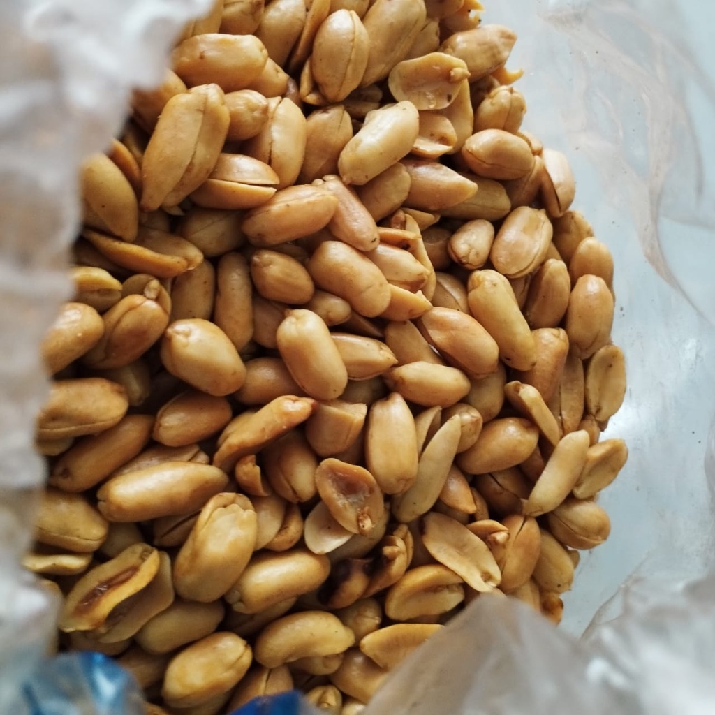 Jual Kacang Bawang Rasa Mete | Kacang Bawang Besar | Kacang Goreng ...