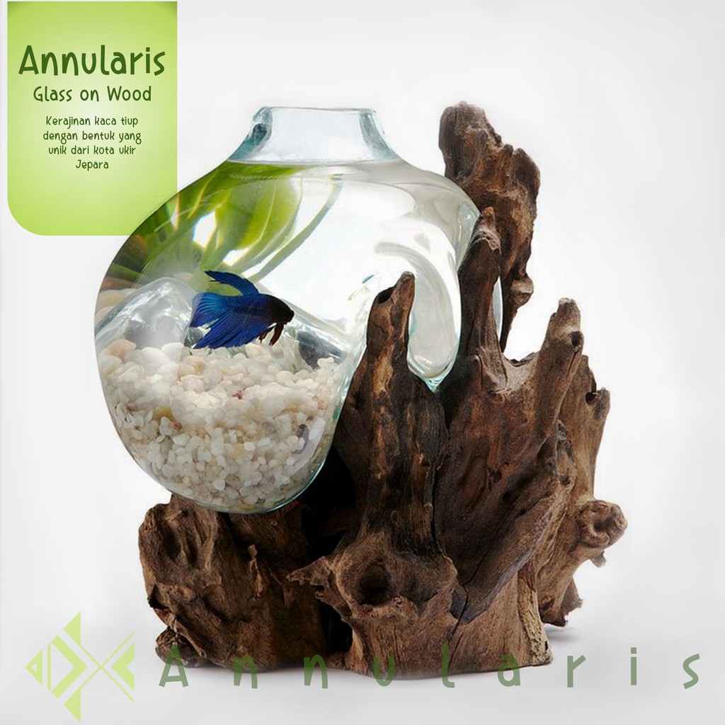 Jual Aquarium Kecil Ikan Hias Ikan Cupang Soliters Betta Ikan Guppy ...