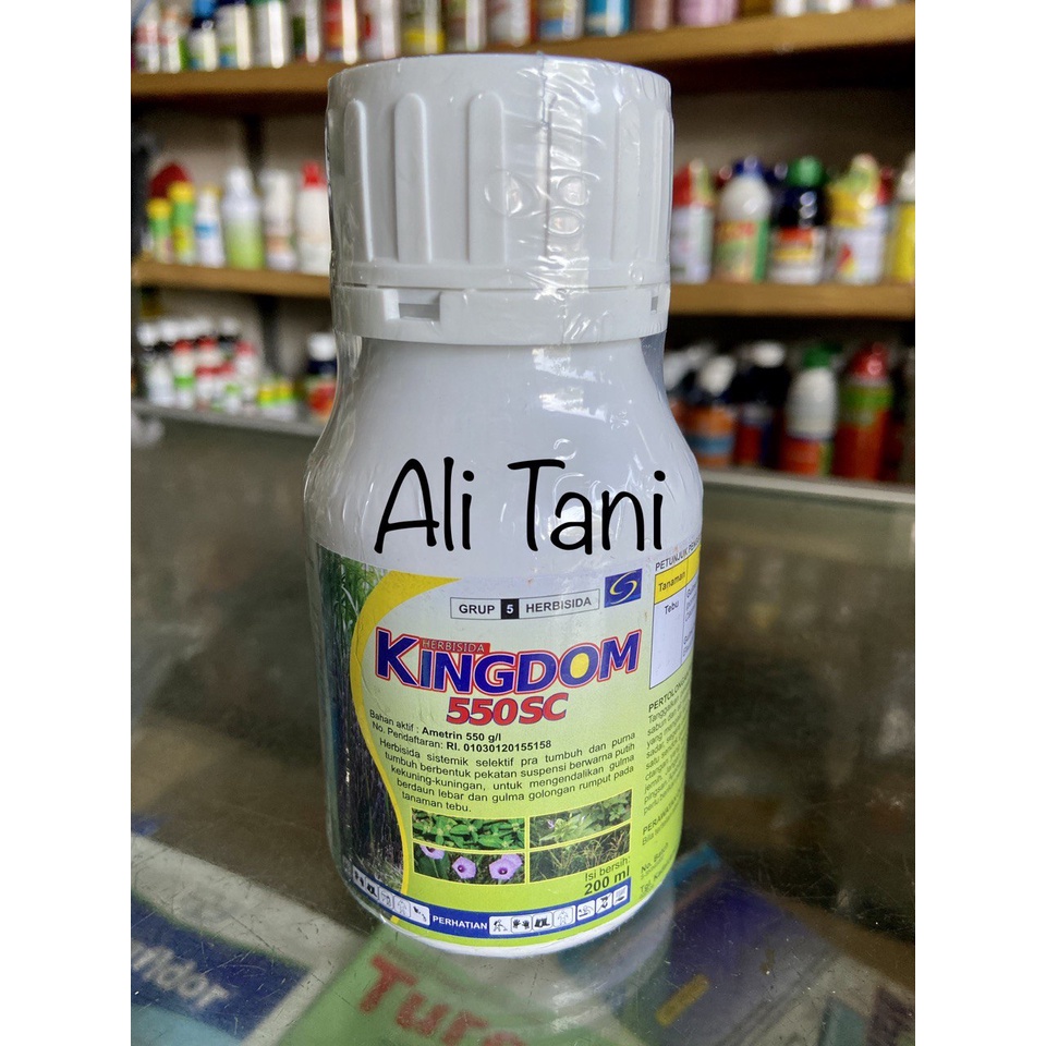 Jual KINGDOM 550 SC Kemasan 200 ML Herbisida Sistemik/Racun Rumput ...