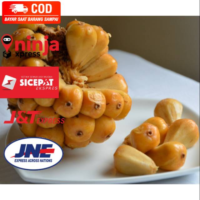 Jual Buah honje segar 500gram matang/muda ready buah honje rasa asam ...