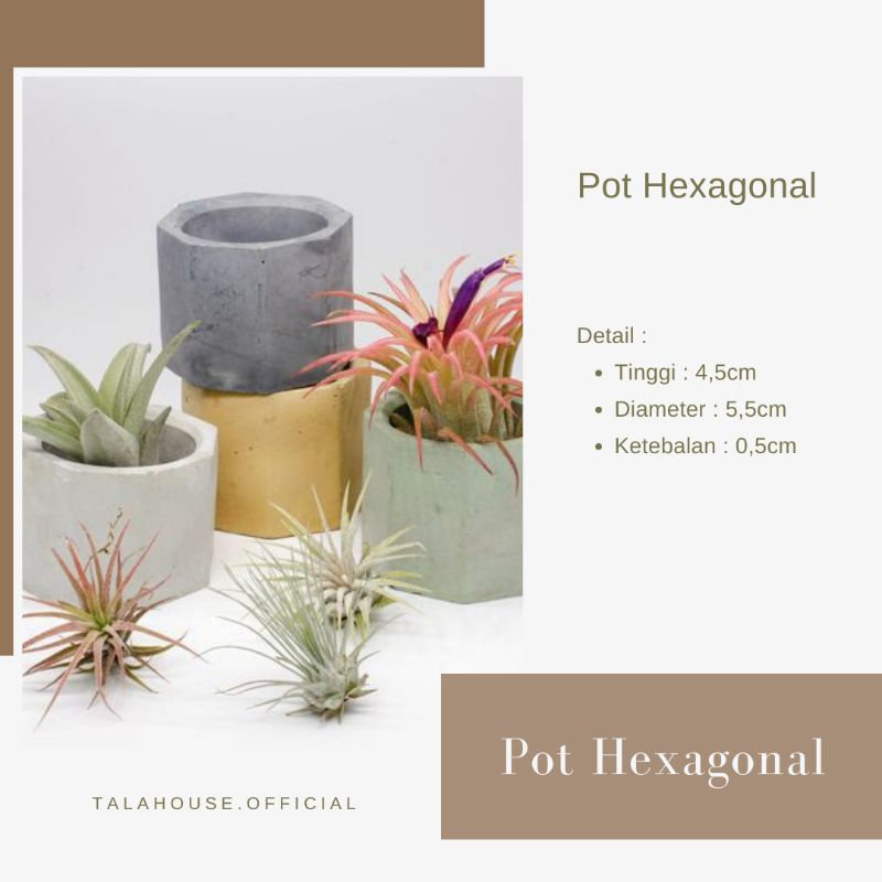 Jual POT HEXAGONAL | POT SAJA | POT MINIMALIS | Shopee Indonesia