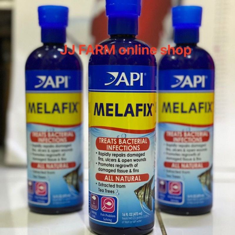 Jual melafix api USA original 473ml jumbo obat ikan hias external ws ... Jual melafix api USA original 473ml jumbo obat ikan hias external ws ...