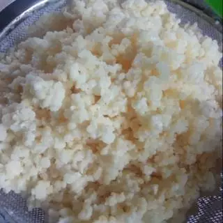 Jual bibit kefir Harga Terbaik & Termurah Februari 2026 | Shopee Indonesia