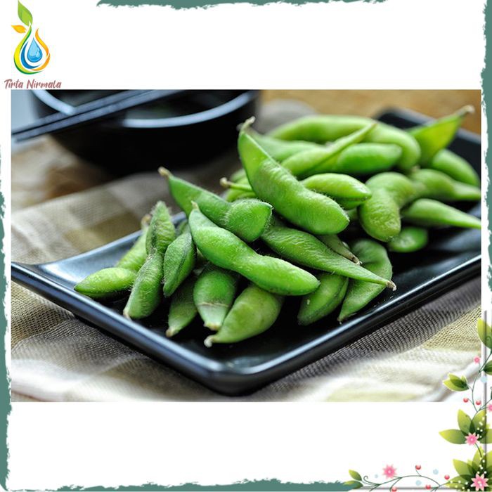 Jual 20 Bibit / Benih / Seeds Edamame Jepang Penuh Manfaat Mudah Tumbuh ...