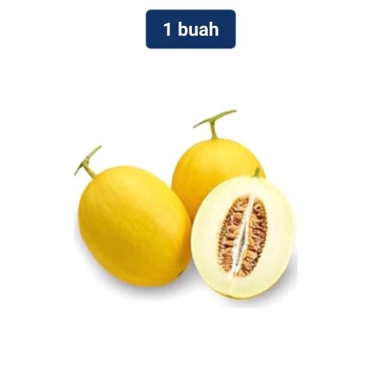 Jual Golden Red Melon Sunpride | Shopee Indonesia