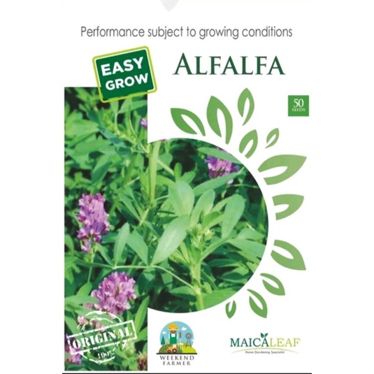Jual Benih Rumput Tanaman ALFALFA | Shopee Indonesia