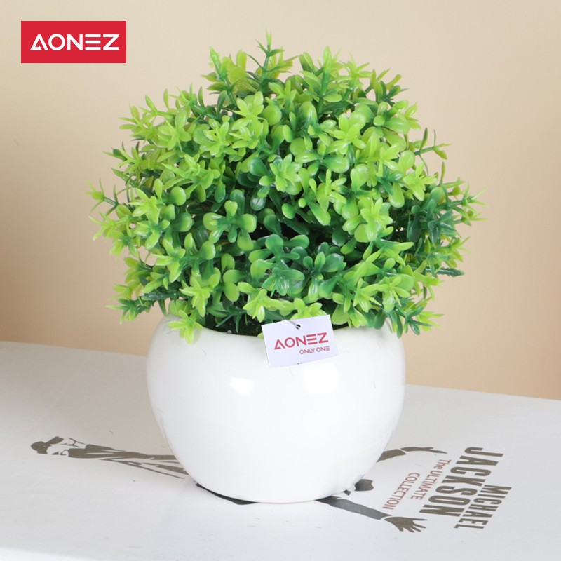 Jual Jual Aonez Tanaman Flower Bunga Milan Kecil hias dengan Keramik ...