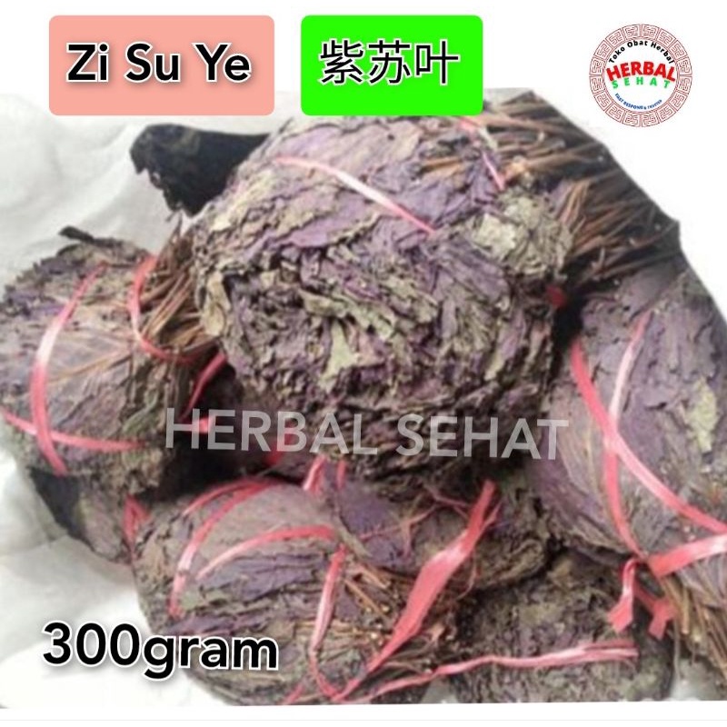 Jual 300 gram Zi Su Ye / Perilla Leaf - Perillae Folium - Ci Shu Jap ...