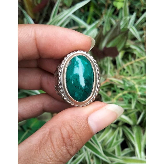 Jual bacan murah | Shopee Indonesia