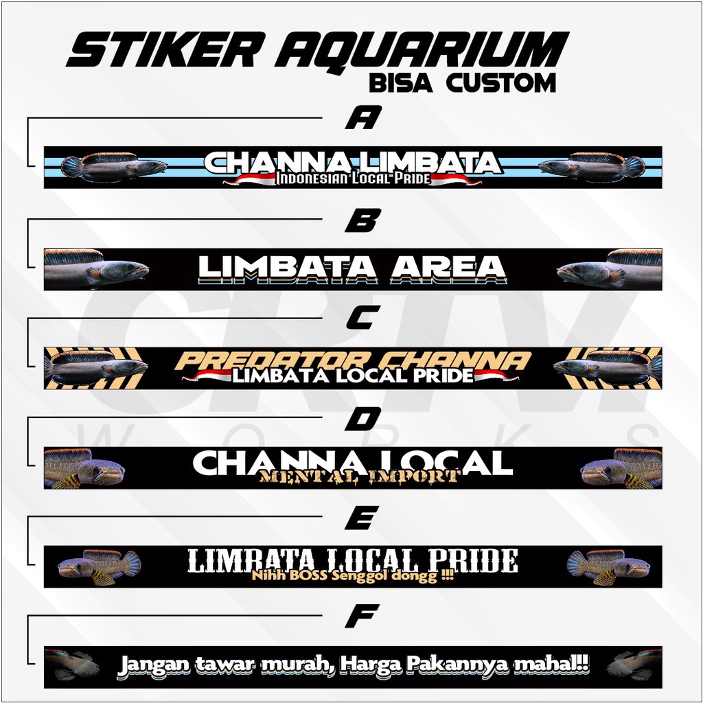Jual Stiker Aquarium Channa Limbata Local Channa Lovers Limbata Local ...