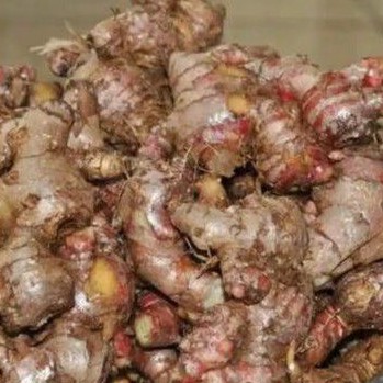 Jual Jahe Merah Segar 250gr | Shopee Indonesia