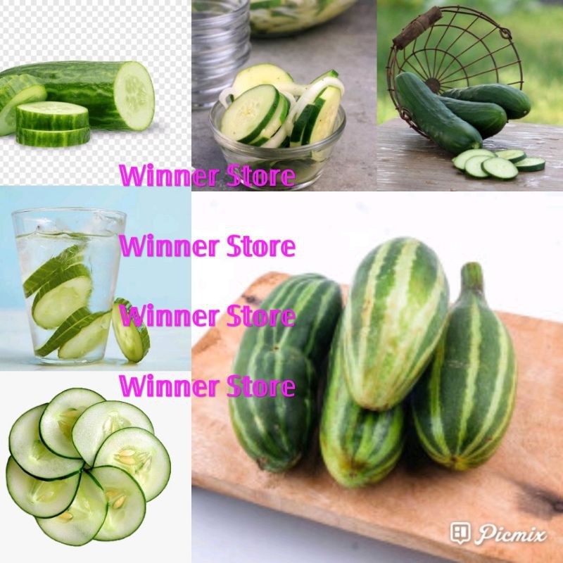 Jual Bibit Benih Sayuran Timun Krai (10 Butir) | Shopee Indonesia