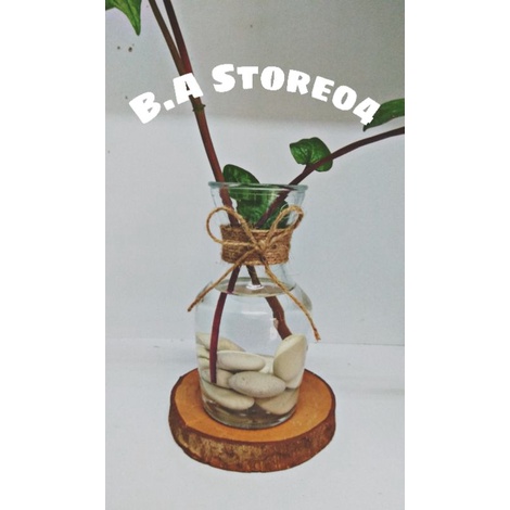 Jual Vas Rami 300ml Vas Bunga Aesthetic Vas Kaca Pot Tanaman Air Pas ...