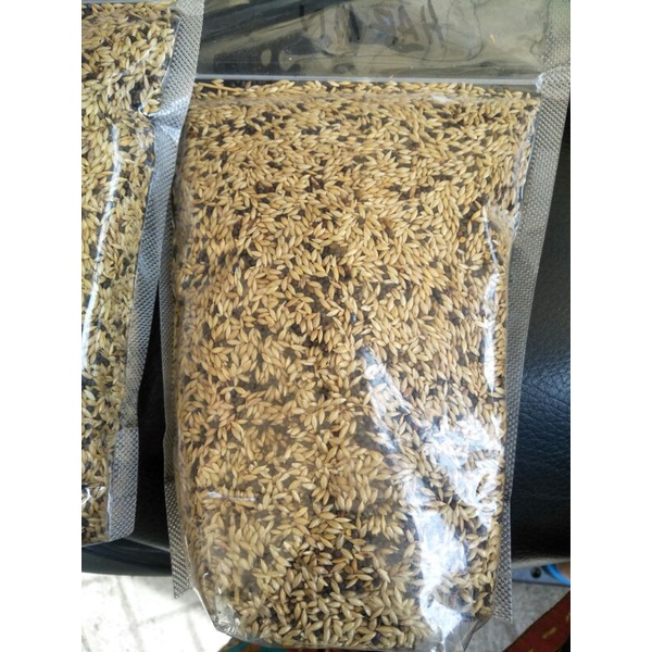 Jual Pakan kenari seed +- 1000 gram (home made) | Shopee Indonesia