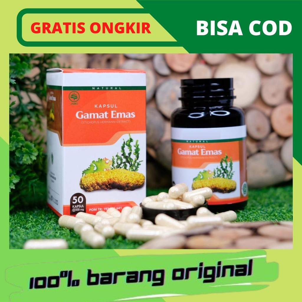 Jual GAMAT MAS KAPSUL 100% ORIGINAL - Ekstrak Teripang Emas HALAL MUI ...