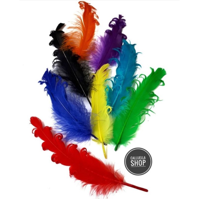 Jual 1 BIJI BULU AYAM KERITING WARNA | bahan diy kerajinan craft gelang ...