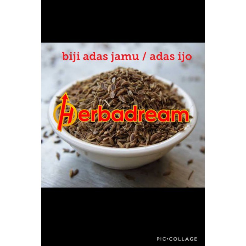 Jual 100 GRAM BIJI ADAS JAWA JAMU IJO PEDAS FOENICULUM VULGARE FENNEL ...
