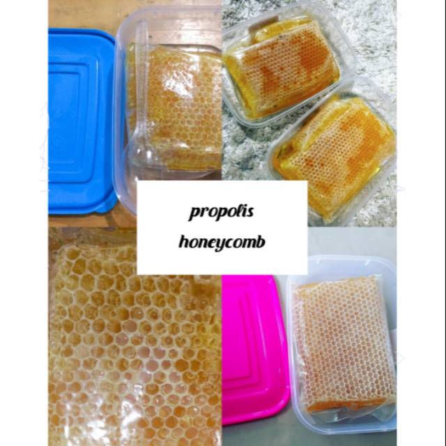 Jual Propolis Honeycomb (Sarang Madu Propolis) | Shopee Indonesia