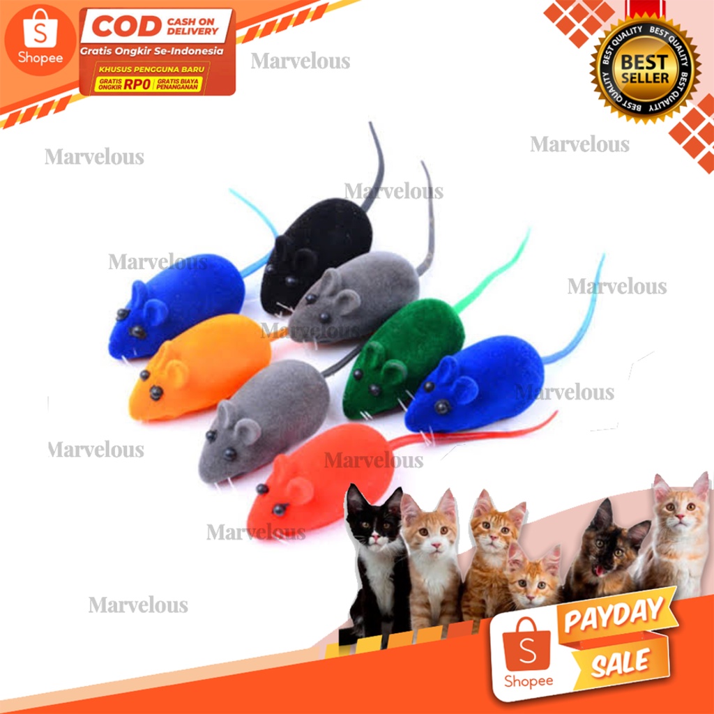 Jual Mainan Kucing Tikus Bunyi / Mainan Tikus CIt | Shopee Indonesia