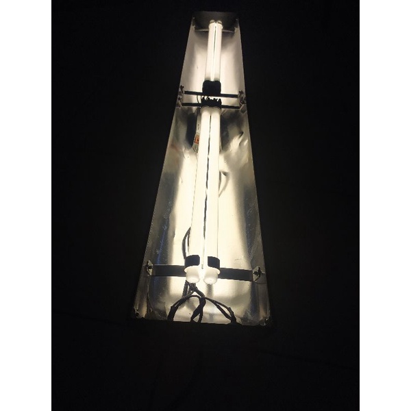 Jual LAMPU TANNING 100 & 120 cm 2 LAMPU Pll PHILIPS/ Lampu Arwana ...