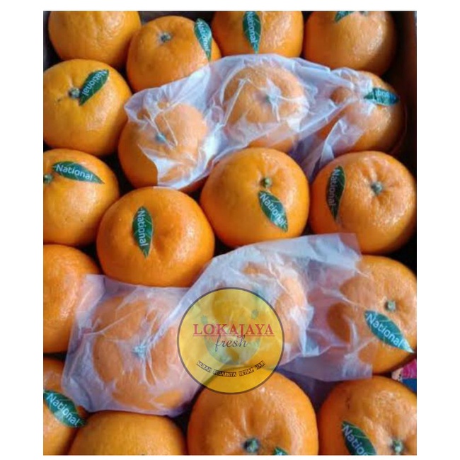 Jual Jeruk Kino 1 Kg | Shopee Indonesia