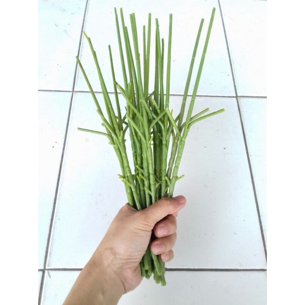 Jual Batang Bunga plastik | Shopee Indonesia