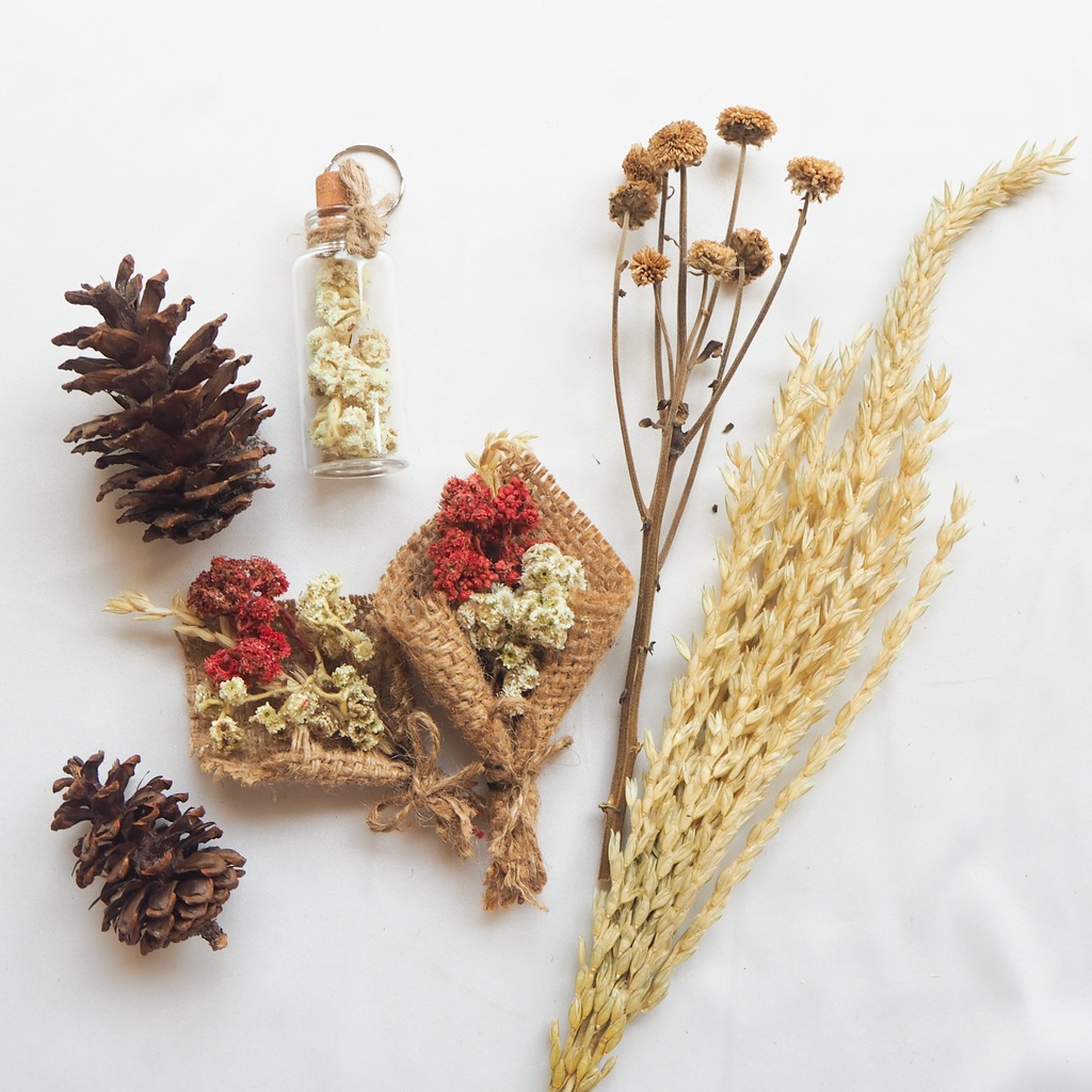 Jual ADDITIONAL MINI BOUQUET BUCKET EDELWEISS DRY FLOWERS | Shopee ...