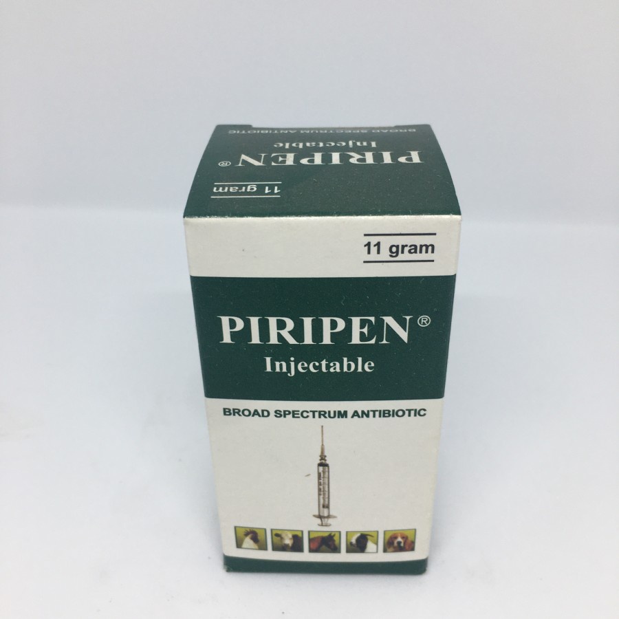 Jual piripen injectable antibiotic 11 gram | Shopee Indonesia