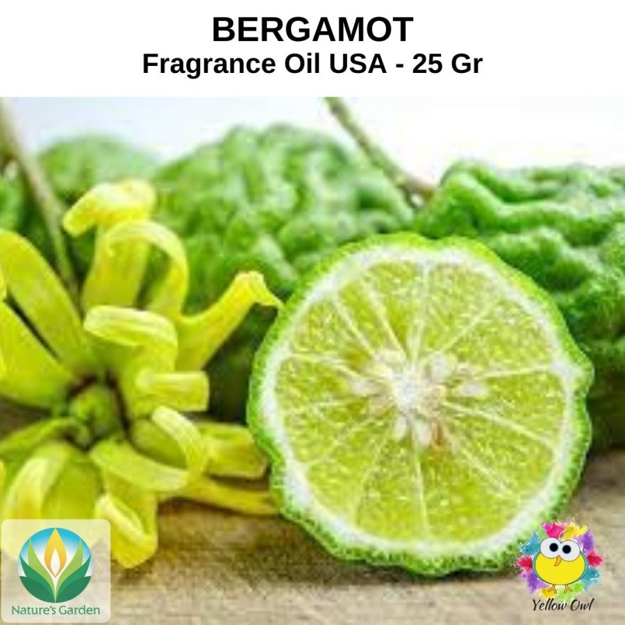 Jual Bergamot Fragrance Oil - 25 Gr | Shopee Indonesia