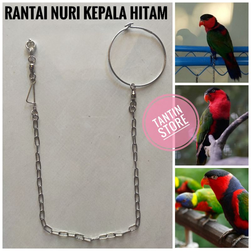 Jual Rantai Stainless Nuri Kepala Hitam | Shopee Indonesia
