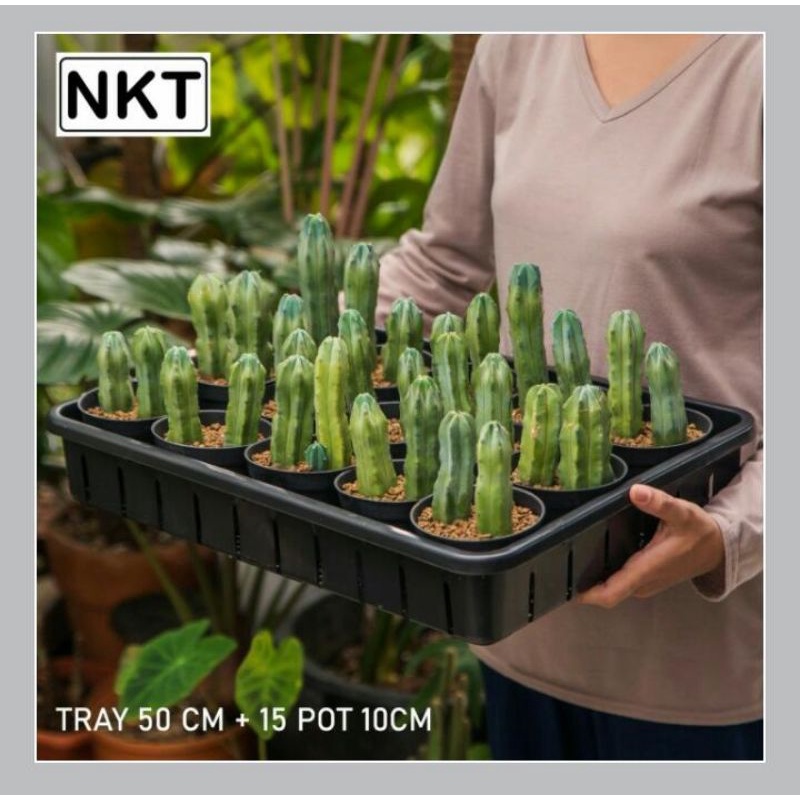 Jual Tray 50 cm + pot 10 cm | Pot NKT | WARNA HITAM | Shopee Indonesia