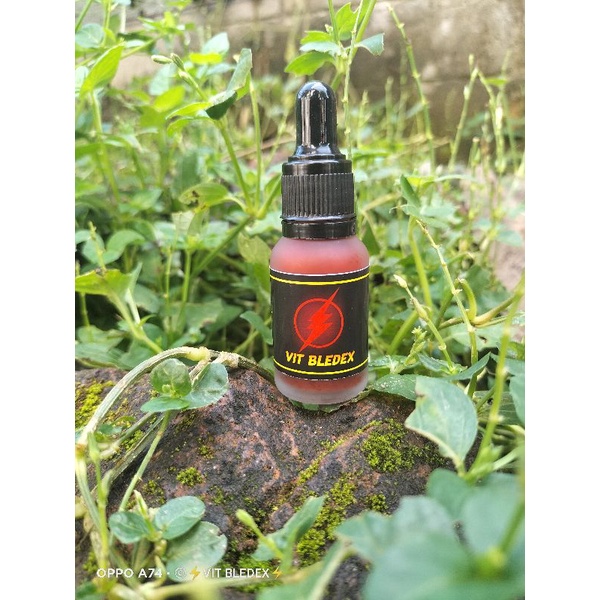 Jual VIT BLEDEX BALIBU/BABY/PAUD | Shopee Indonesia