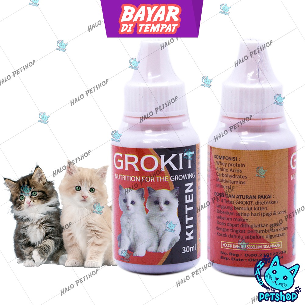 Jual GROKIT 30ml Vitamin Kucing Kitten Nutrisi Untuk Pertumbuhan Anak Kucing Penambah Nafsu ...