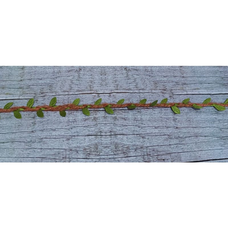 Jual Tali goni pita daun / sulur daun / daun rambat / tali goni daun ...