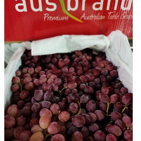 Jual Anggur Grape Sweet Celebration Australia Seedless | Shopee Indonesia