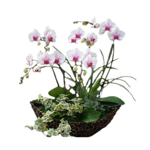 Jual Karangan Bunga Meja Rangkaian Bunga Vas Table Flower Karangan