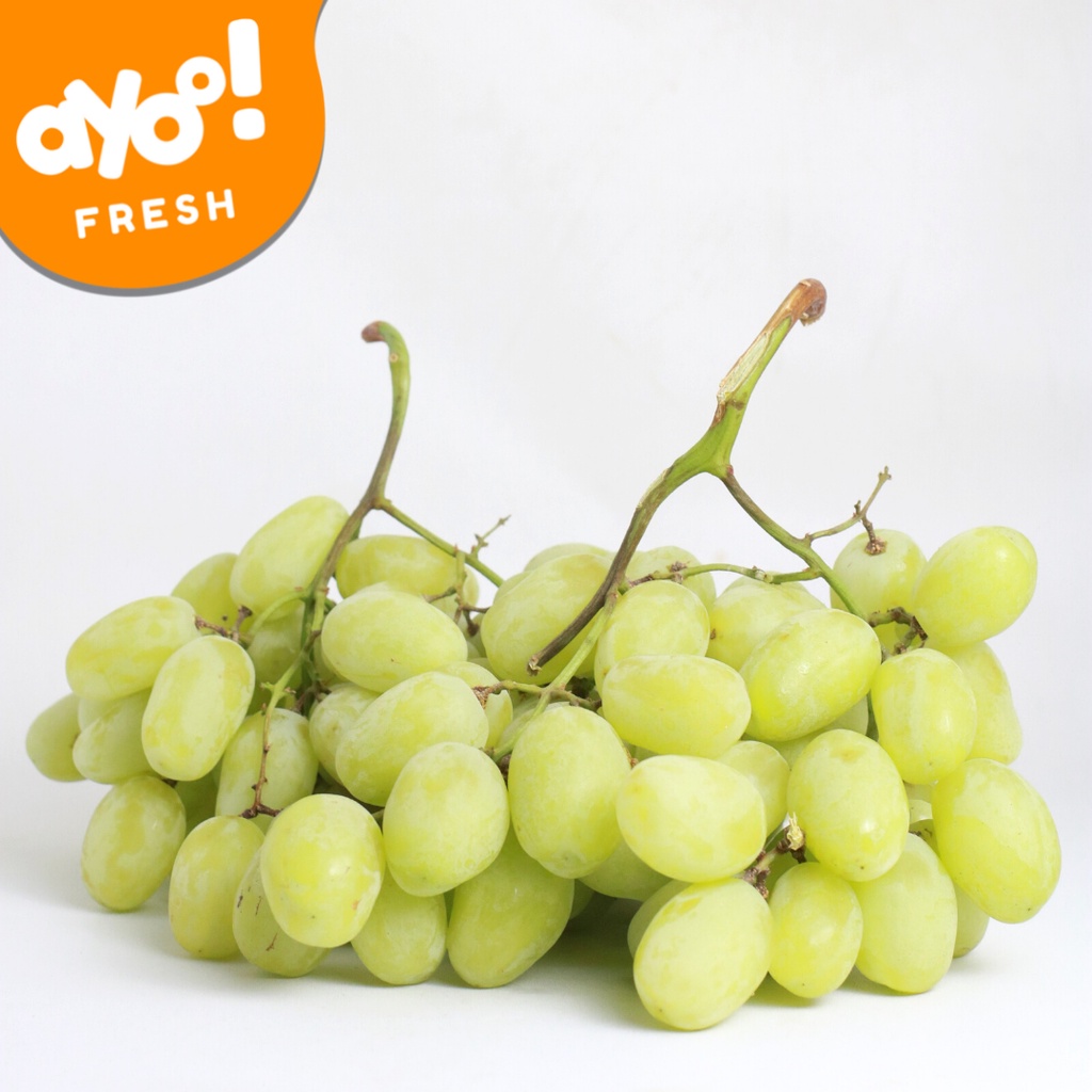 Jual Anggur Hijau Thompson Australia 1 Kg | Shopee Indonesia