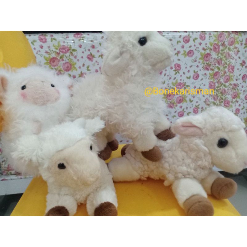 Jual Paket boneka domba putih (Lea T) | Shopee Indonesia
