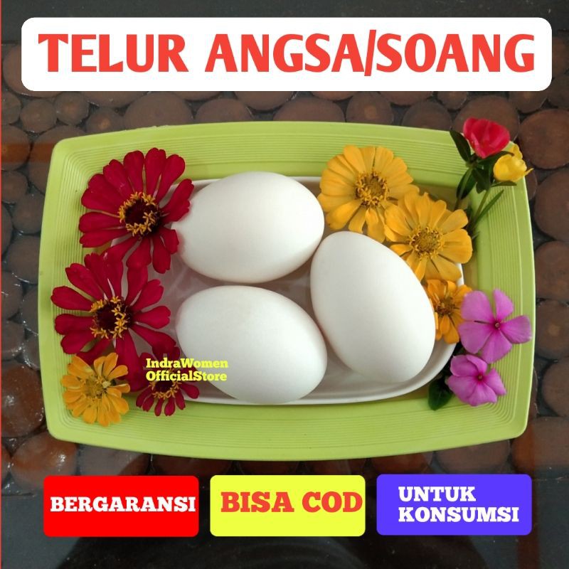 Jual TELUR ANGSA SOANG UNTUK KONSUMSI TELUR BANYAK | Shopee Indonesia
