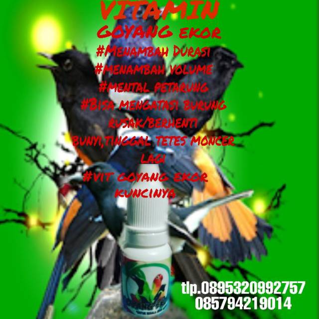 Jual Vit Lomba Burung Ocehan Shopee Indonesia 
