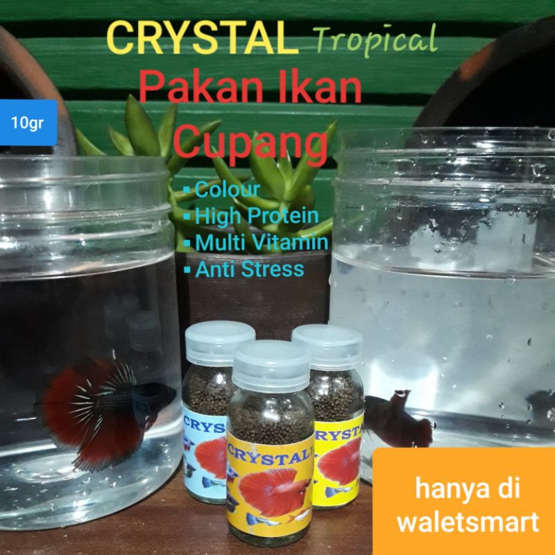 Jual Pelet Crystal Pakan Ikan Cupang Guppy dan Tropical Fish | Shopee ...