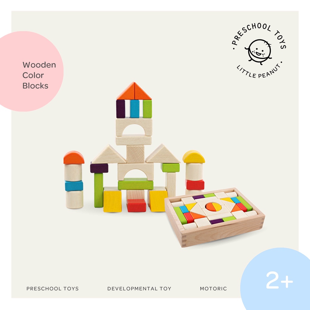 Jual Wooden Color Blocks - Montessori Preschool Learning Educational ...