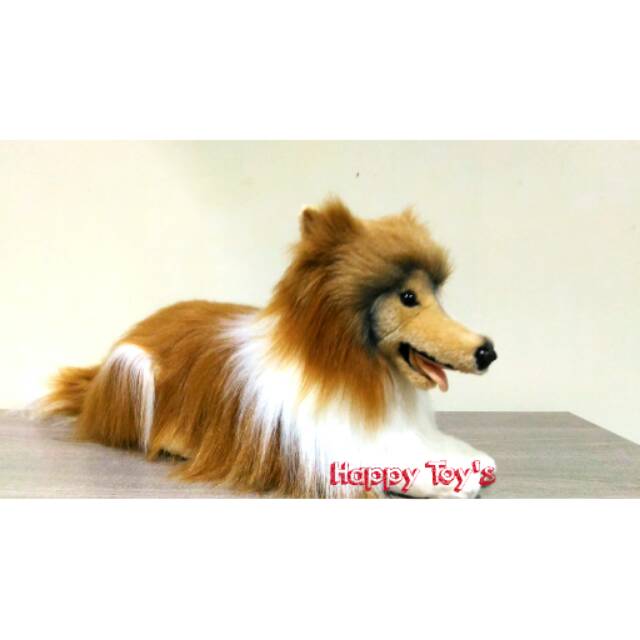 Jual Boneka Anjing Collie (Lassie) | Shopee Indonesia