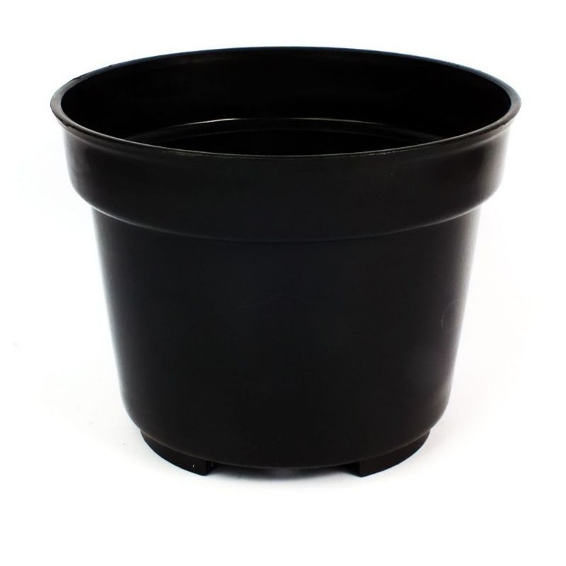 Jual Pot bunga PLASTIK hitam (15cm) | Shopee Indonesia