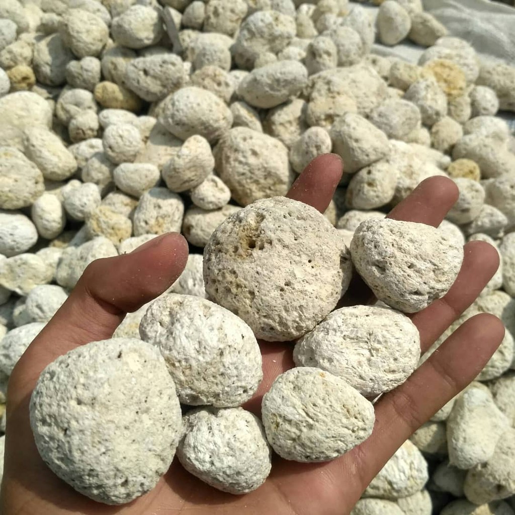 Jual Batu apung (pumice stone) | Shopee Indonesia