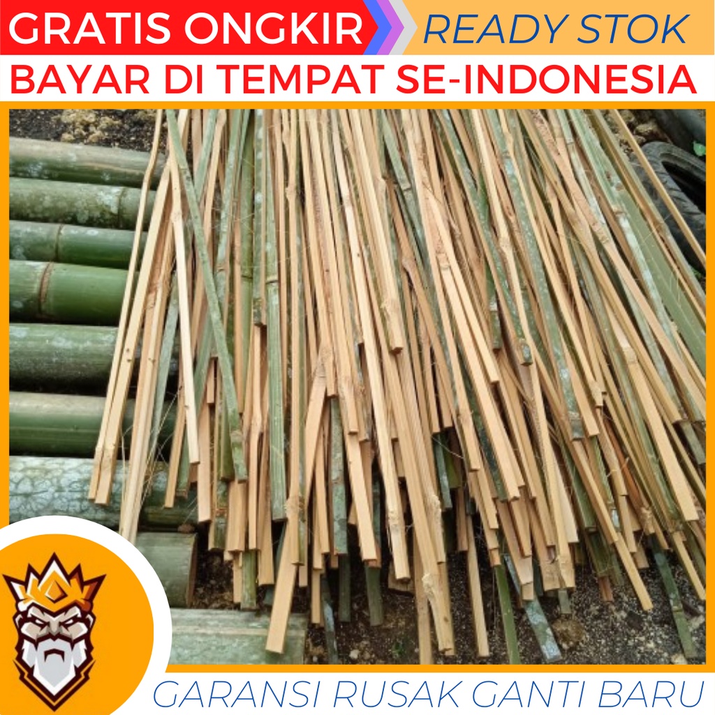 Jual ajir bambu tanaman 2 meter melingkar | Shopee Indonesia