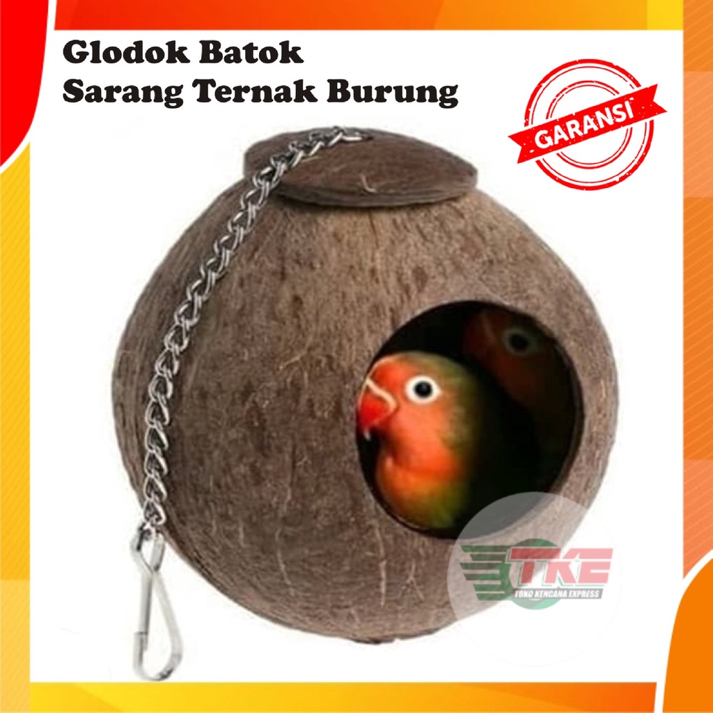 Jual Glodok Burung Lovebird Batok Kelapa Sangkar Kandang Rumah Burung ...