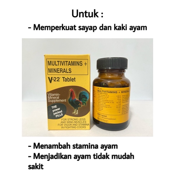 Jual V22 Filipin vitamin ayam aduan | Shopee Indonesia