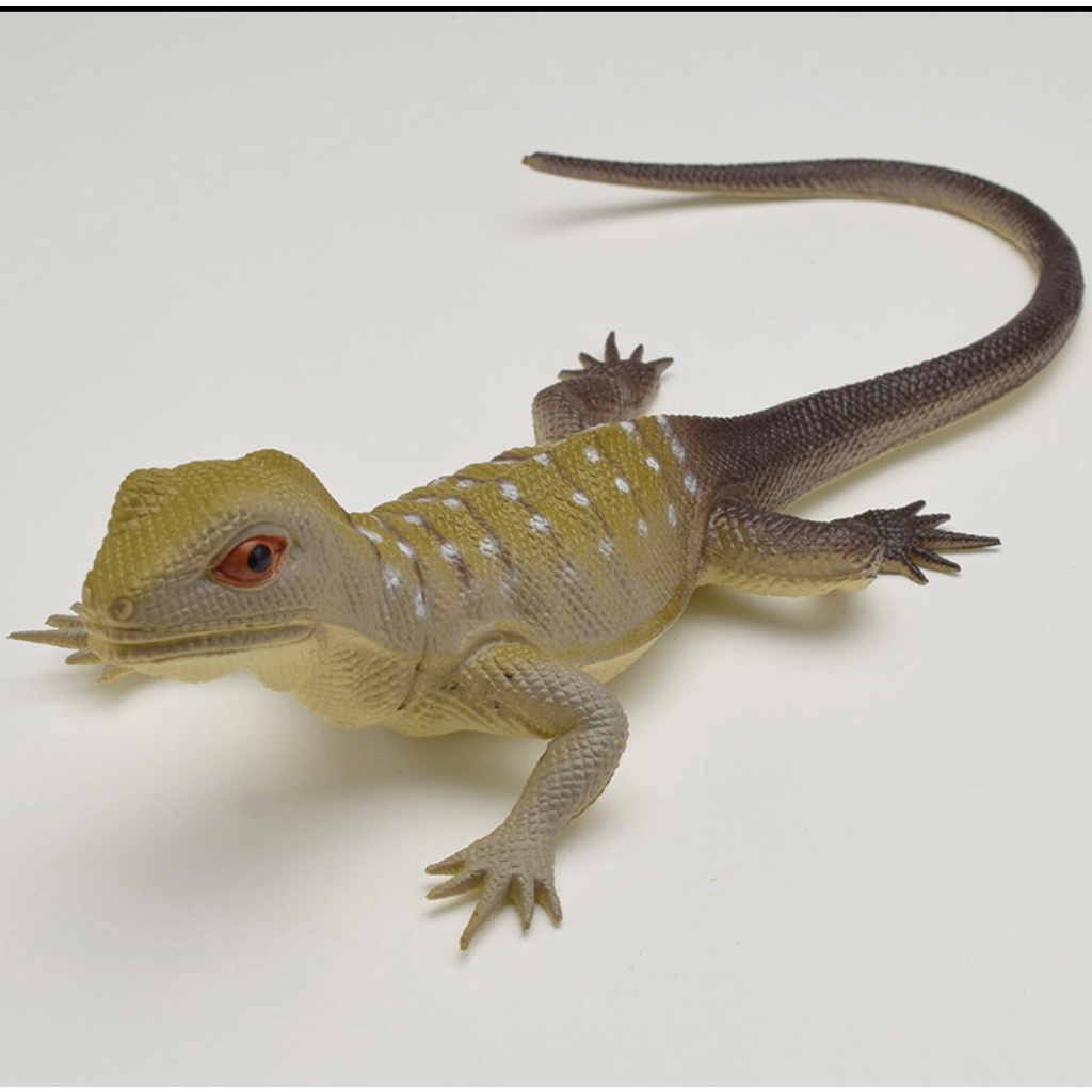 Jual Mainan Anak Hewan Reptil Kadal Cicak Karet Dipencet Bunyi Bersuara ...